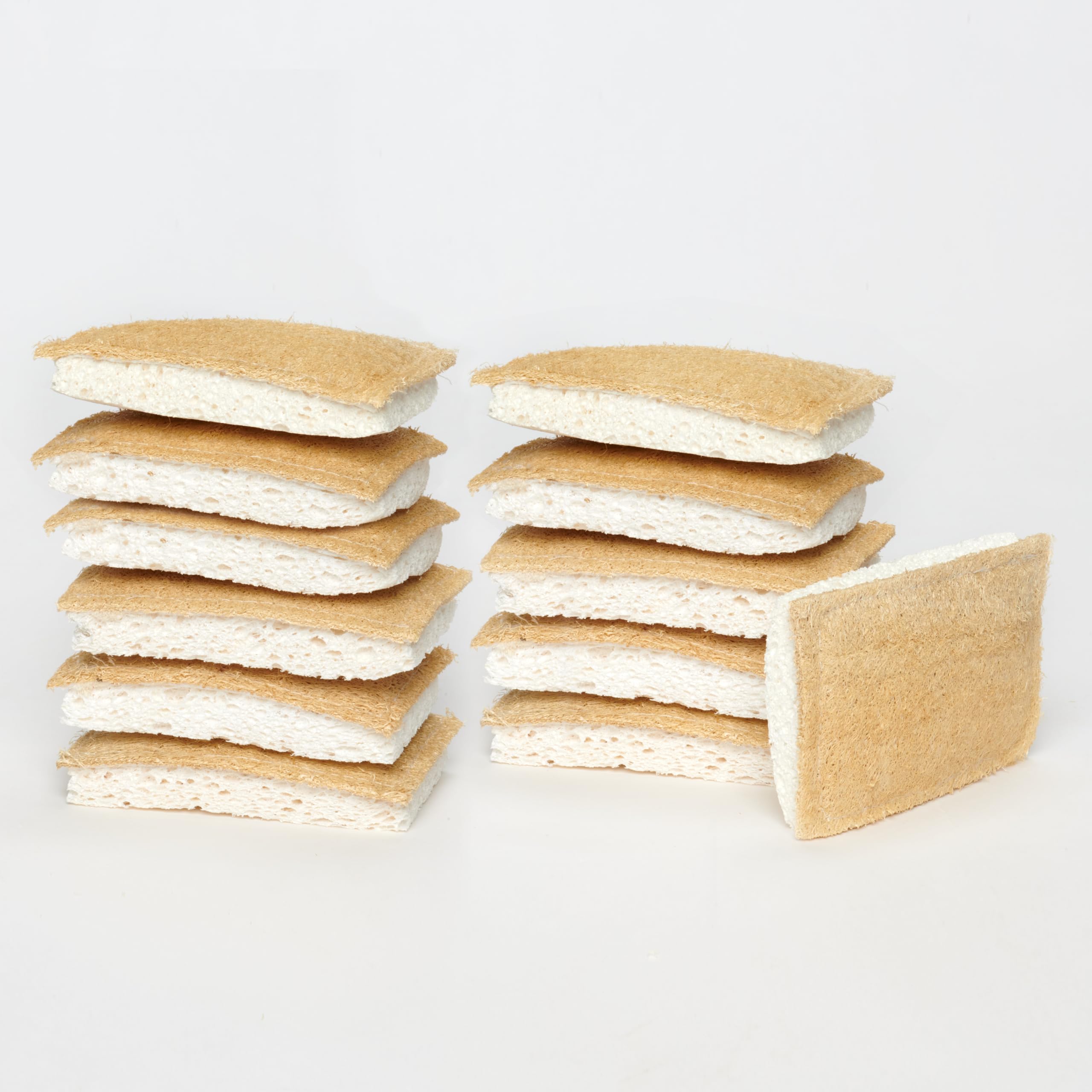 Amazon.com: Value Bundle 12 Pack of Natural Biodegradable Plant-Based ...