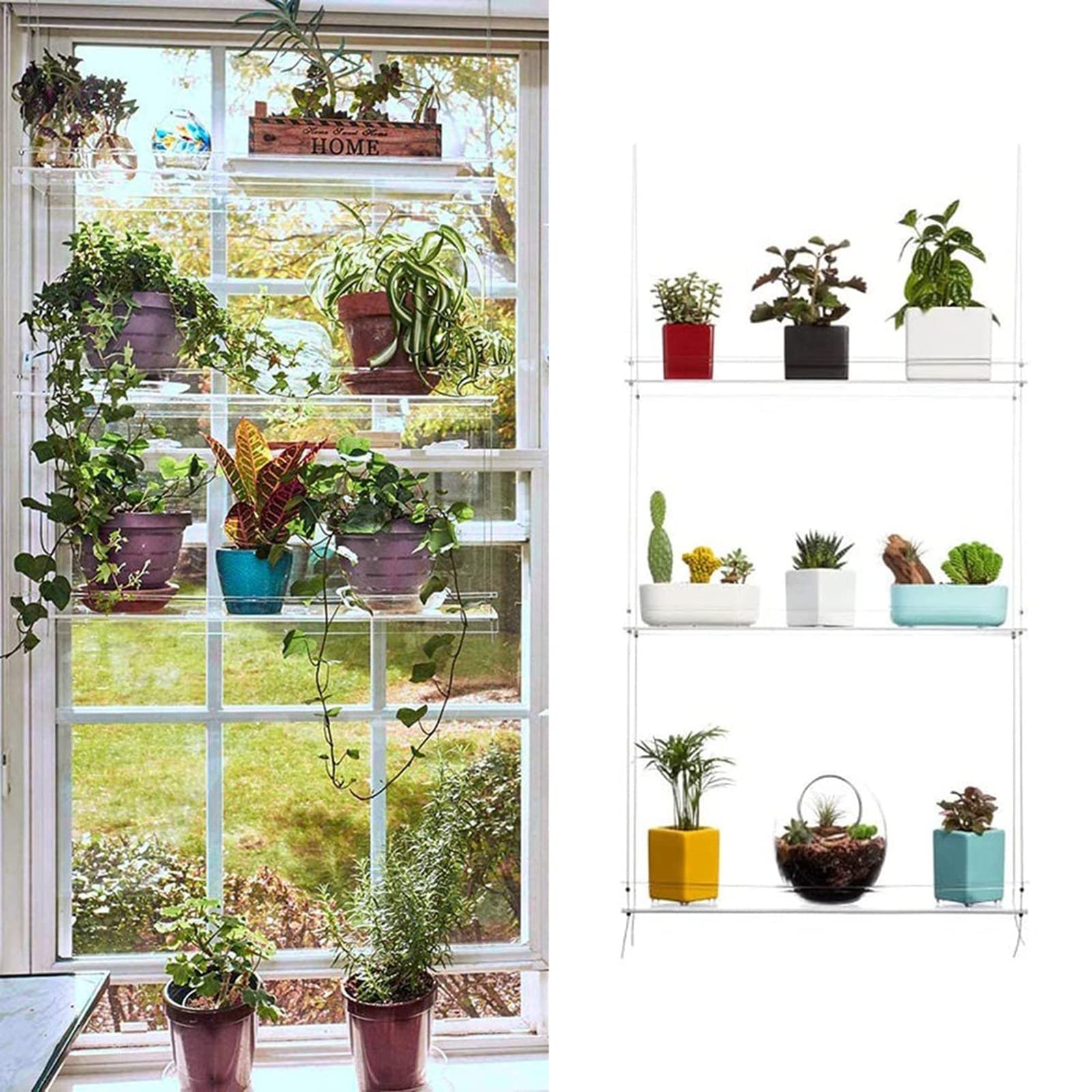 Amazon.com : Clear Hanging Plant Shelf for Window, Acrylic Wall ...