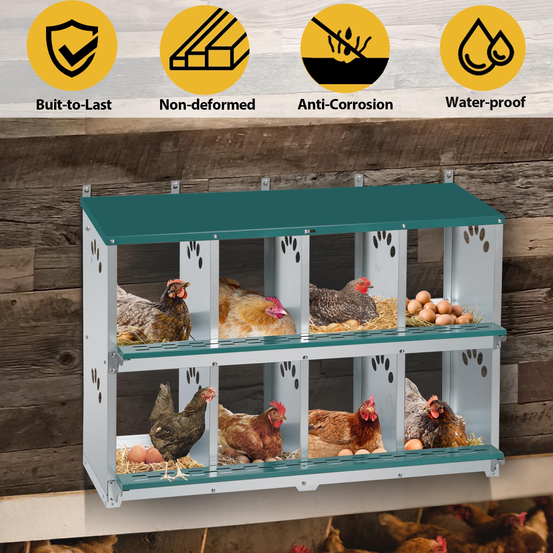 Snapklik.com : Chicken Nesting Box, 8 Compartment Roll Away Nesting Box ...