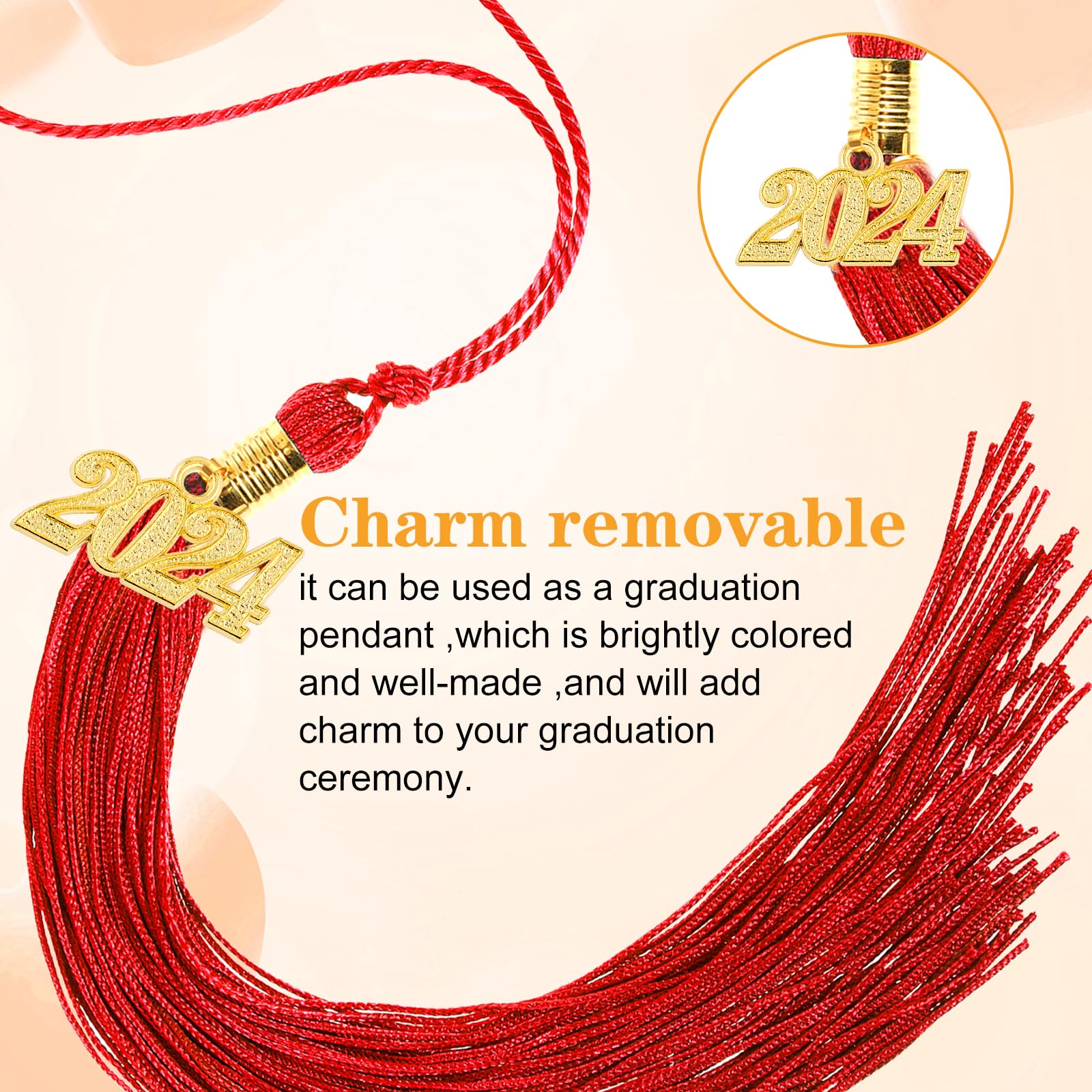 Snapklik.com : DSLSQD 12 Pieces 2024 Charm Graduation Charms 2024 ...