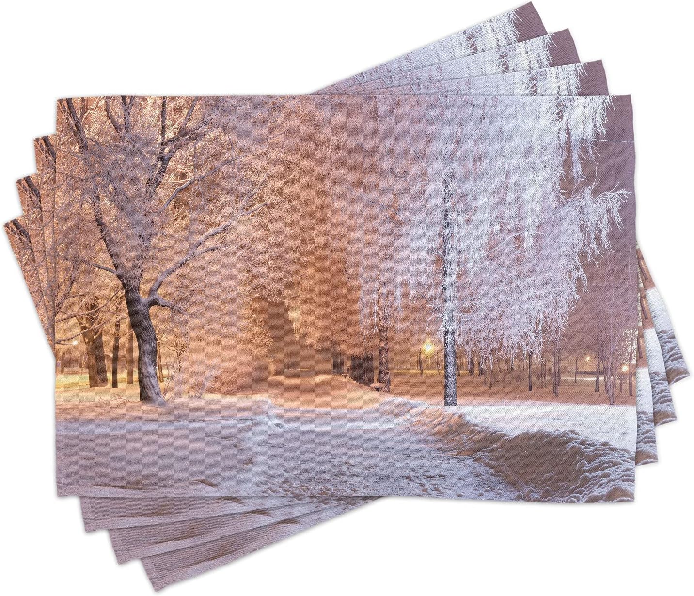 Ambesonne Winter Place Mats Set of 4, Winter Night Scenery with Frozen ...