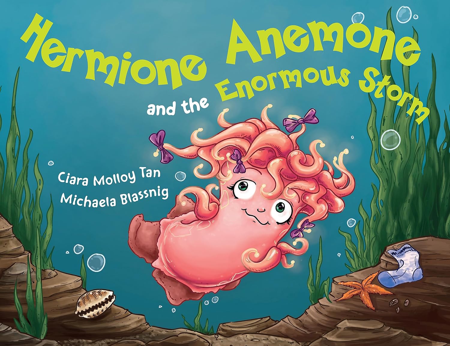 Hermione Anemone and the Enormous Storm: Ciara Molloy Tan ...