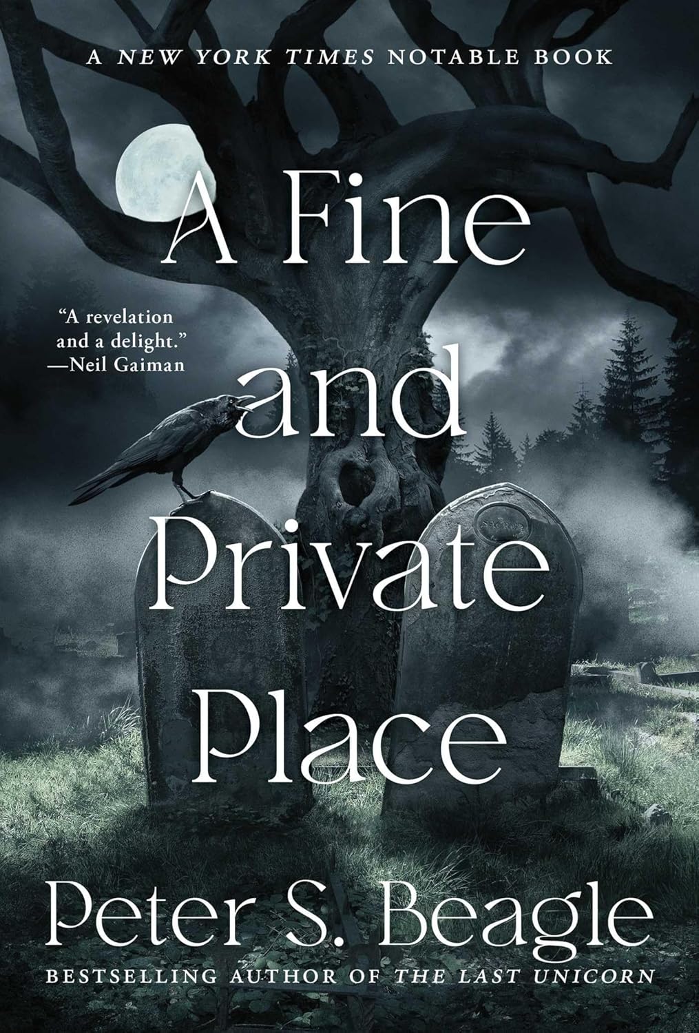 A Fine and Private Place: Beagle, Peter S.: 9781668025390: Amazon.com ...