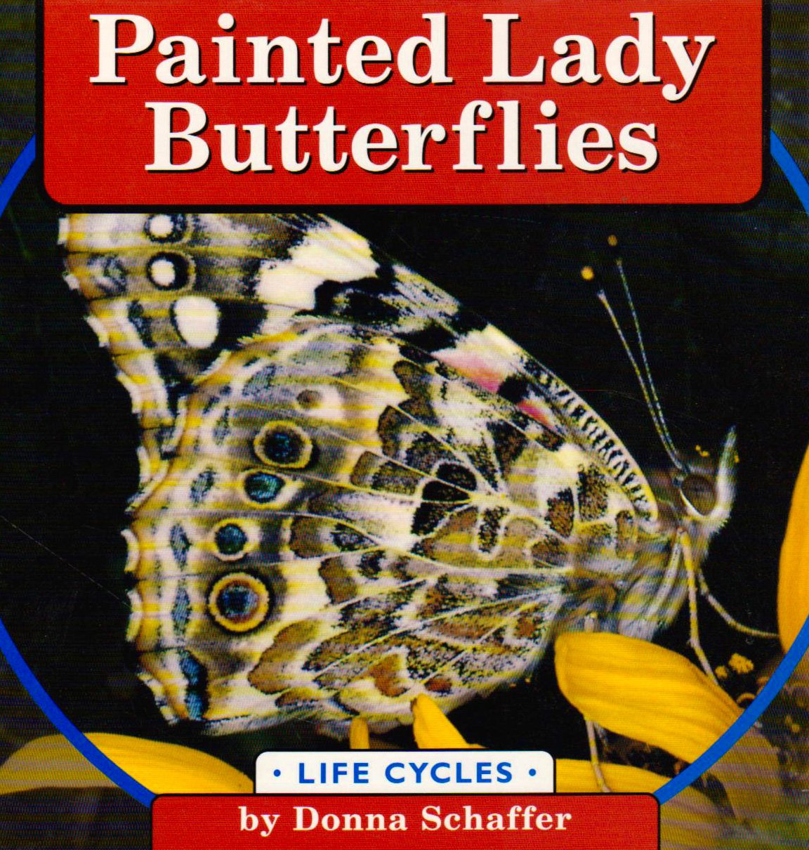 Painted Lady Butterflies (Life Cycles): Donna Schaffer: 9780736802116 ...