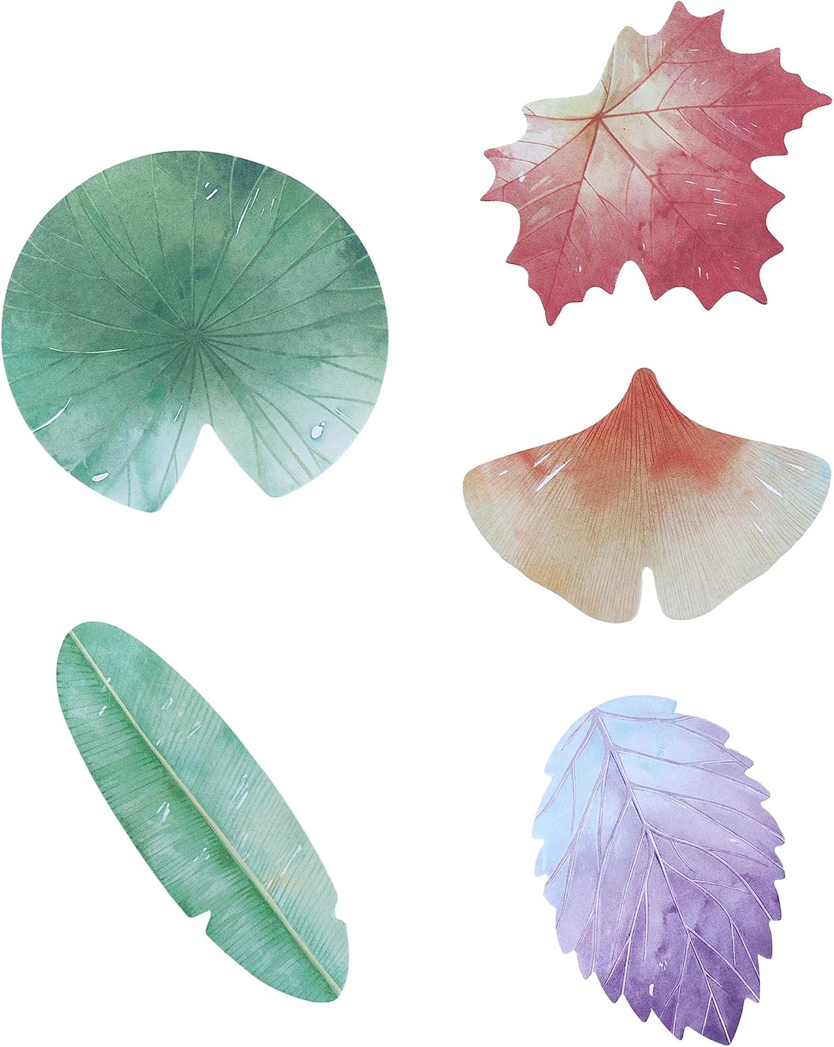 Amazon.com : Leadigol 30 Sheets/pad Leaf Shape Sticky Notes, Self ...