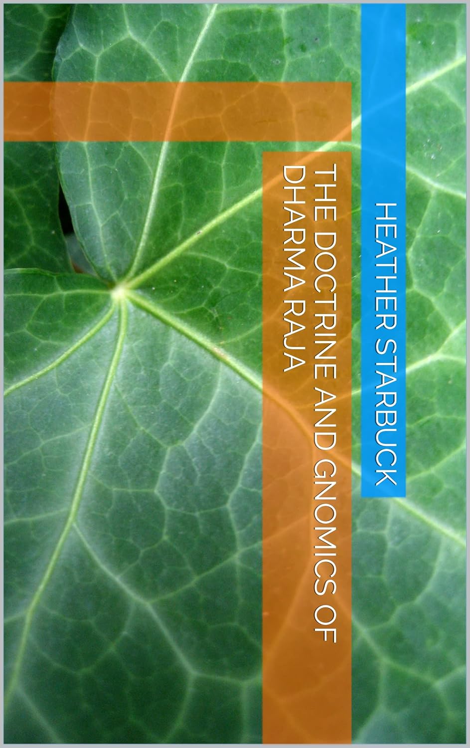 The Doctrine and Gnomics of Dharma Raja eBook : Starbuck, Heather ...