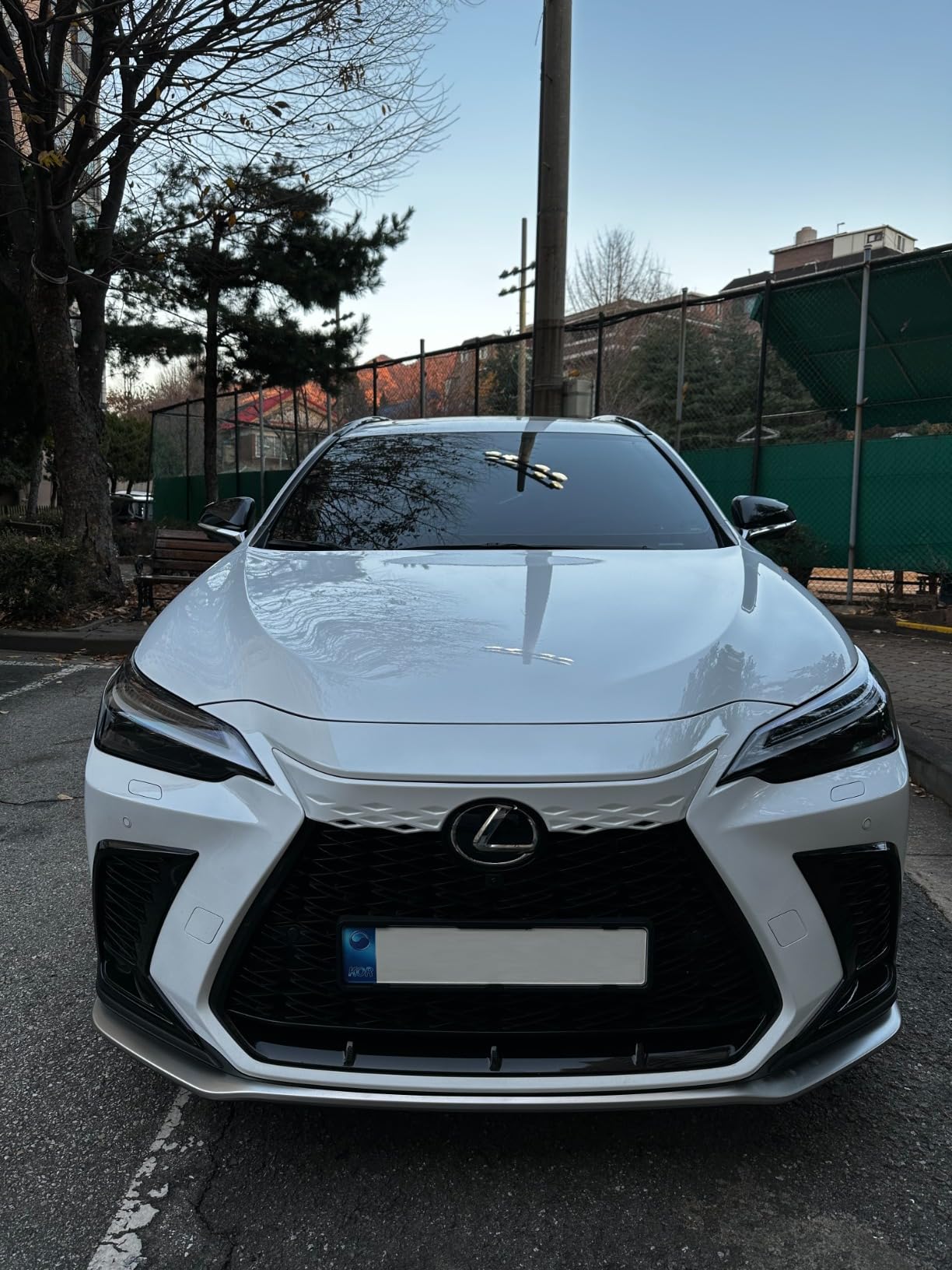 Amazon.co.jp: ループグラフィクス アレックスグリル LEXUS 互換品 NX F SPORT AZ20型専用 ※塗装済品ホワイト ...