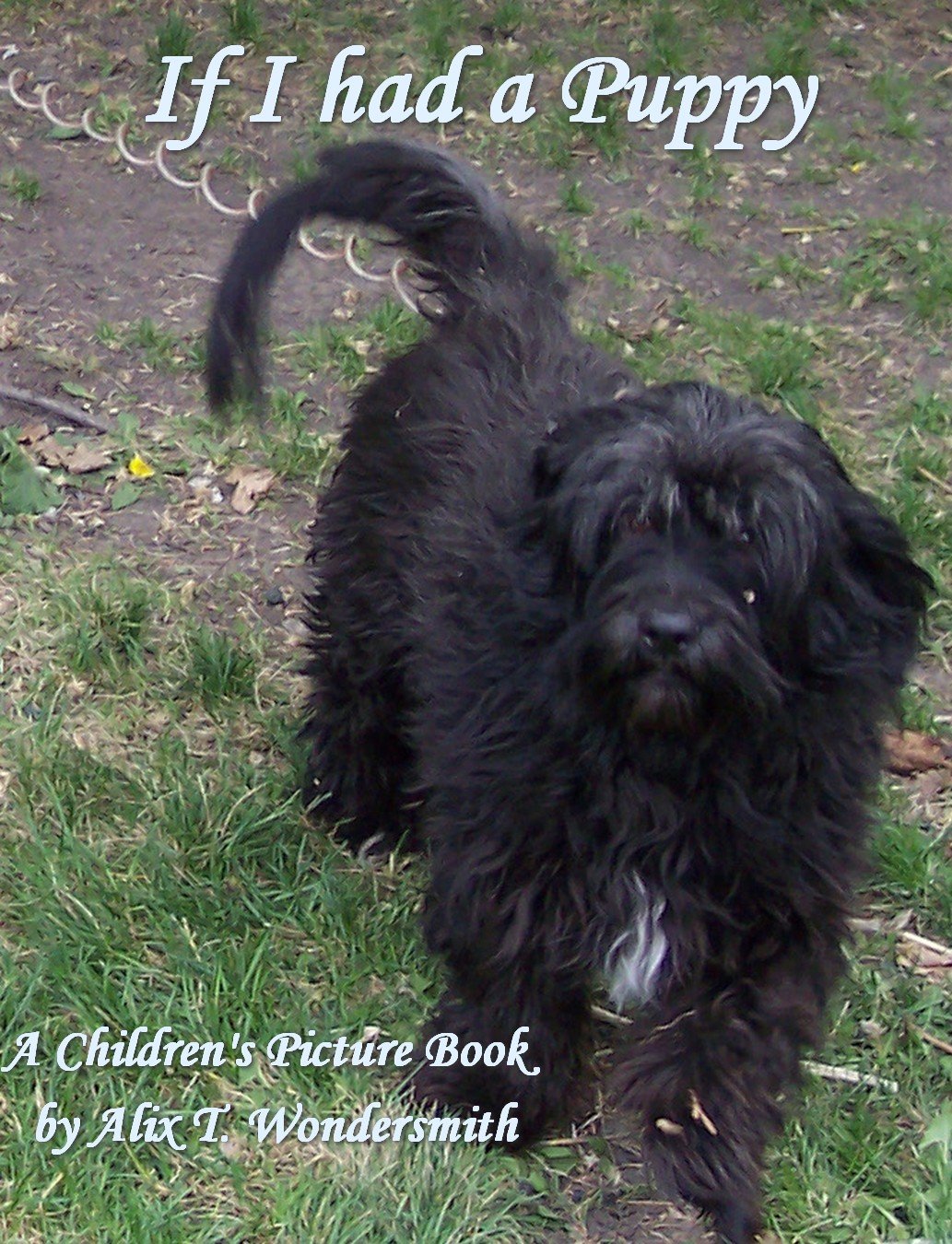 IF I HAD A PUPPY eBook : Wondersmith, Alix T., Bateman, Alice C ...