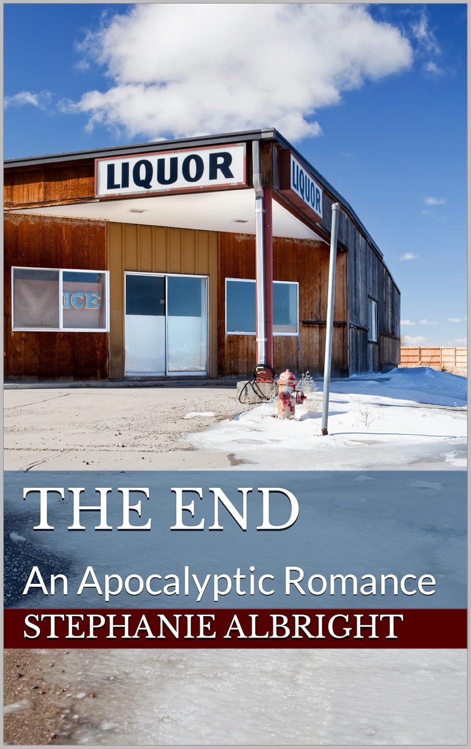 Amazon.com: The End: An Apocalyptic Romance eBook : Albright, Stephanie ...