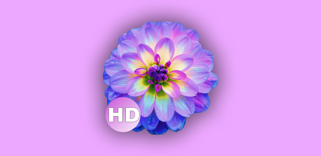 Flower Wallpapers - App on Amazon Appstore