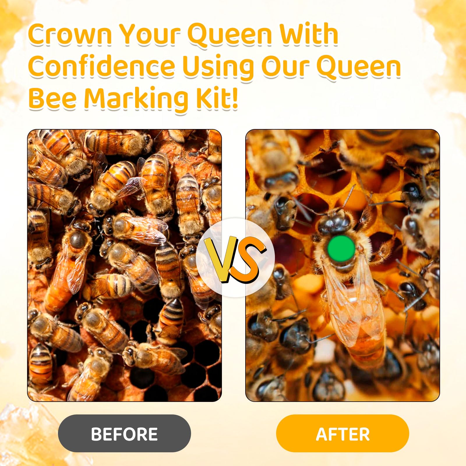 Snapklik.com : Queen Bee Marking Kit, One-Handed Queen Catcher Bottle ...