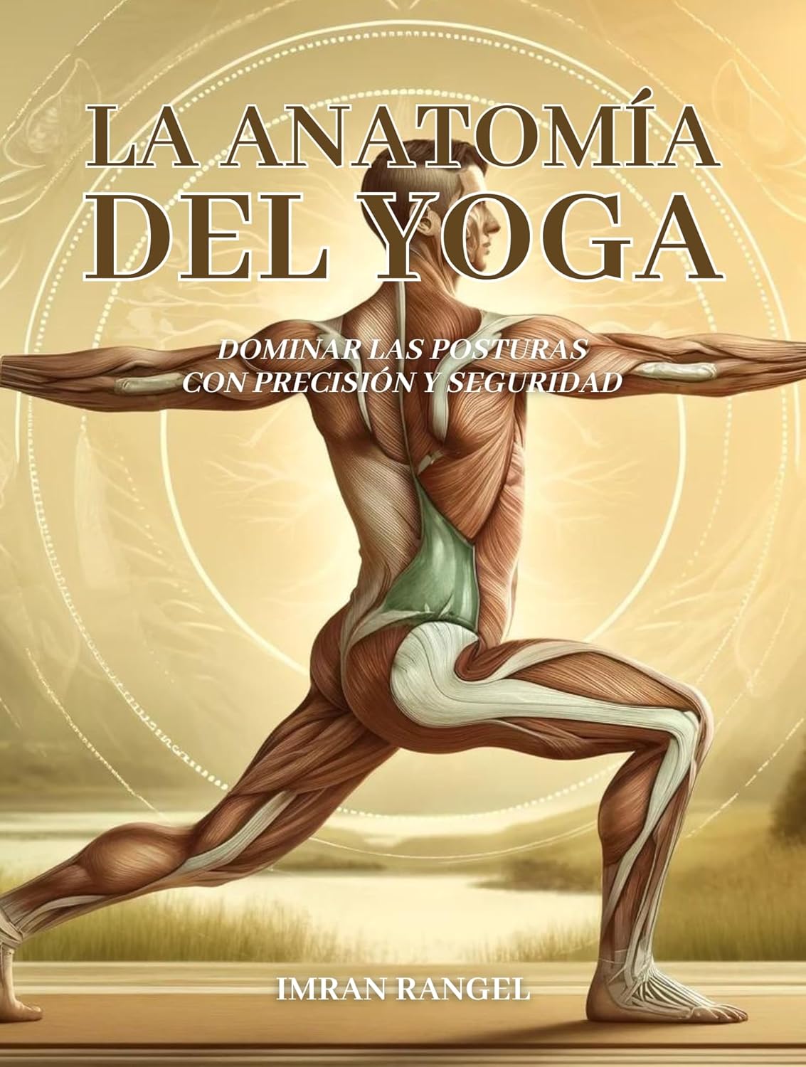 Amazon.com: La anatomía del yoga: Dominar las posturas con precisión y seguridad: Una guía ...