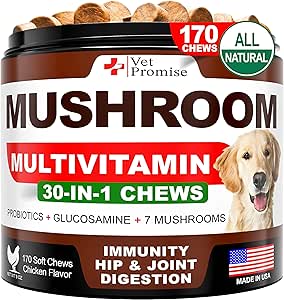 Amazon.com : Mushroom for Dogs - 170 Chews - Turkey Tail - Mushroom Supplement for Dogs - Lions ...