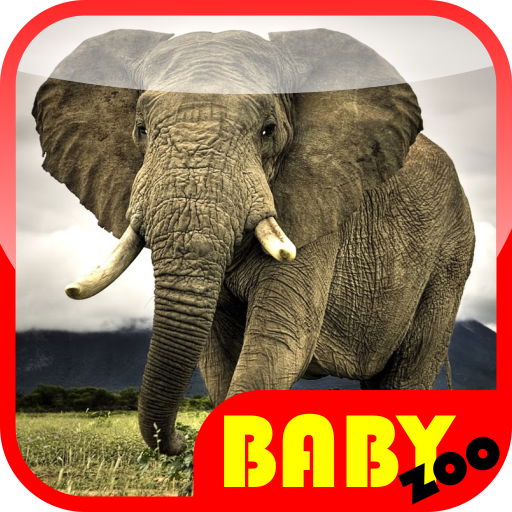 Baby Animal Educational:Amazon.in:Appstore for Android