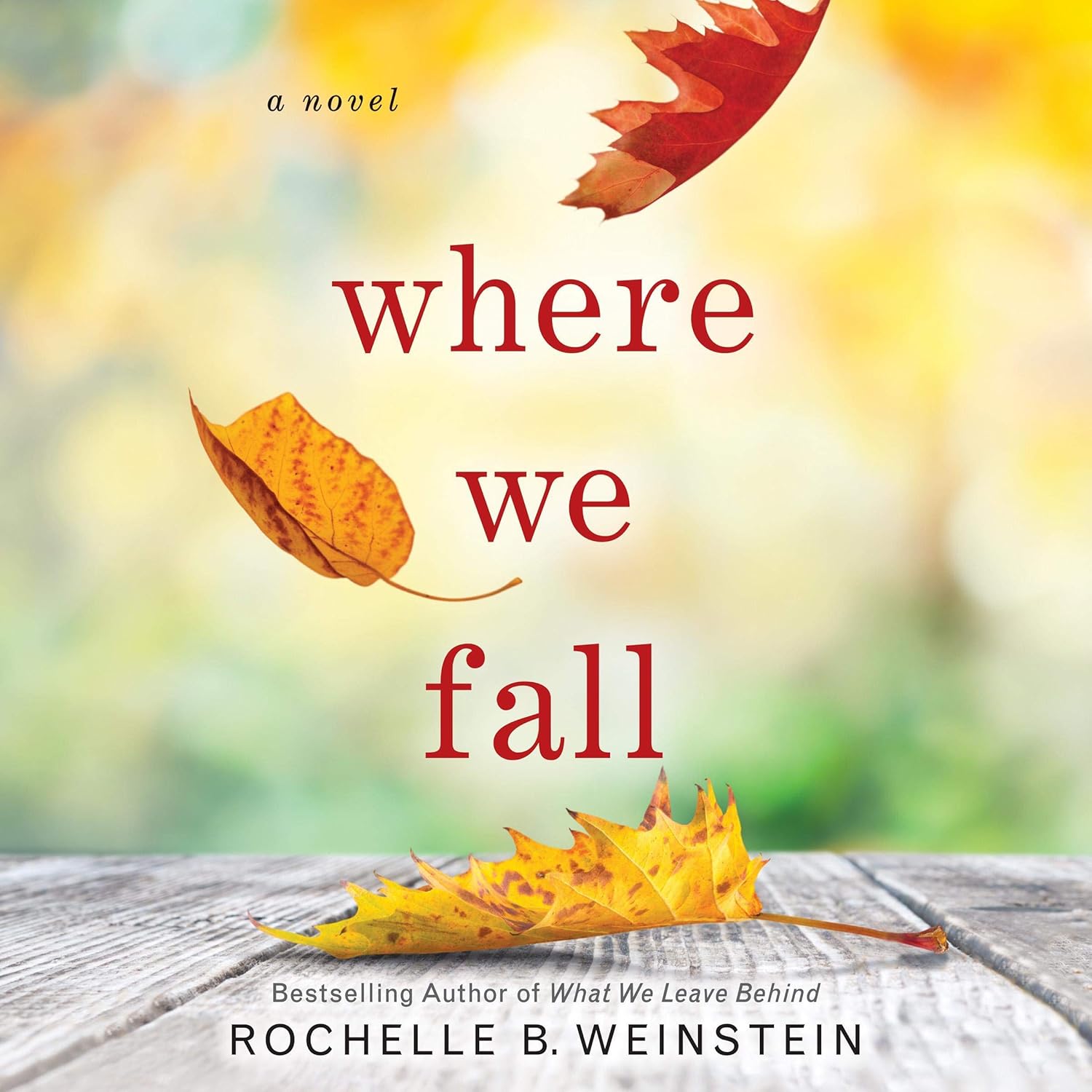 Amazon.com: Where We Fall: A Novel (Audible Audio Edition): Rochelle B ...
