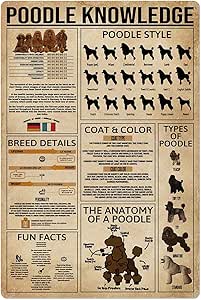 Amazon.com: Poodle Knowledge Metal Tin Signs Poodle Information Retro ...