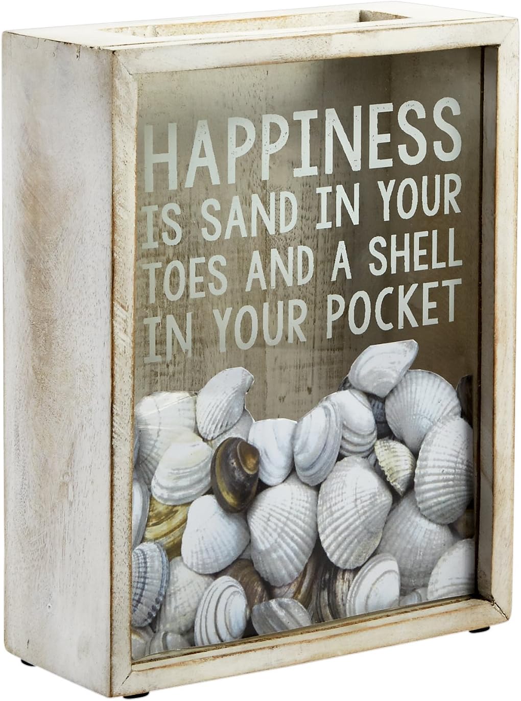 Amazon.com: Mud Pie Shell Collection Display Box : Home & Kitchen