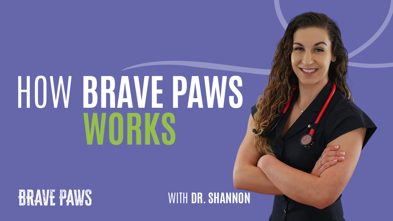 Pet Candy's Amazon Page