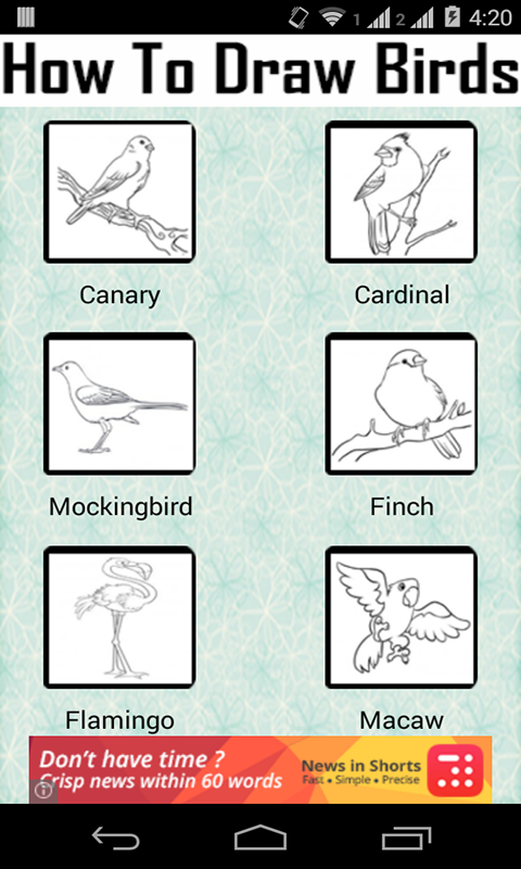 How To Draw Bird Book - App on Amazon Appstore