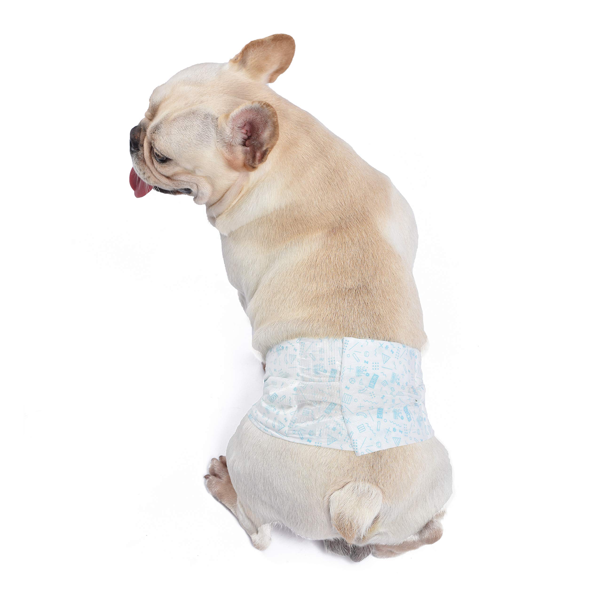 Can You Use Baby Diapers On Female Dogs at Dennis Fleming blog
