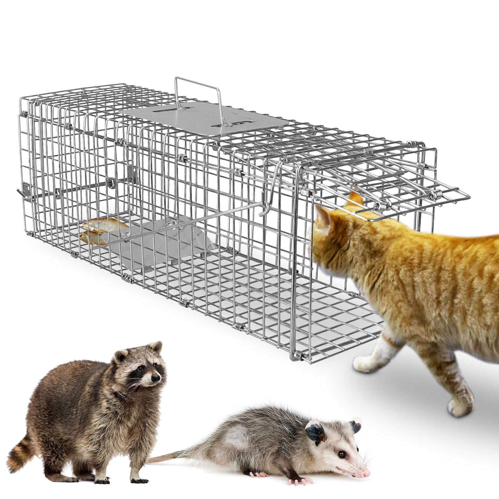 Snapklik.com : Live Animal Trap Cage, Large Foldable Heavy Duty Humane ...