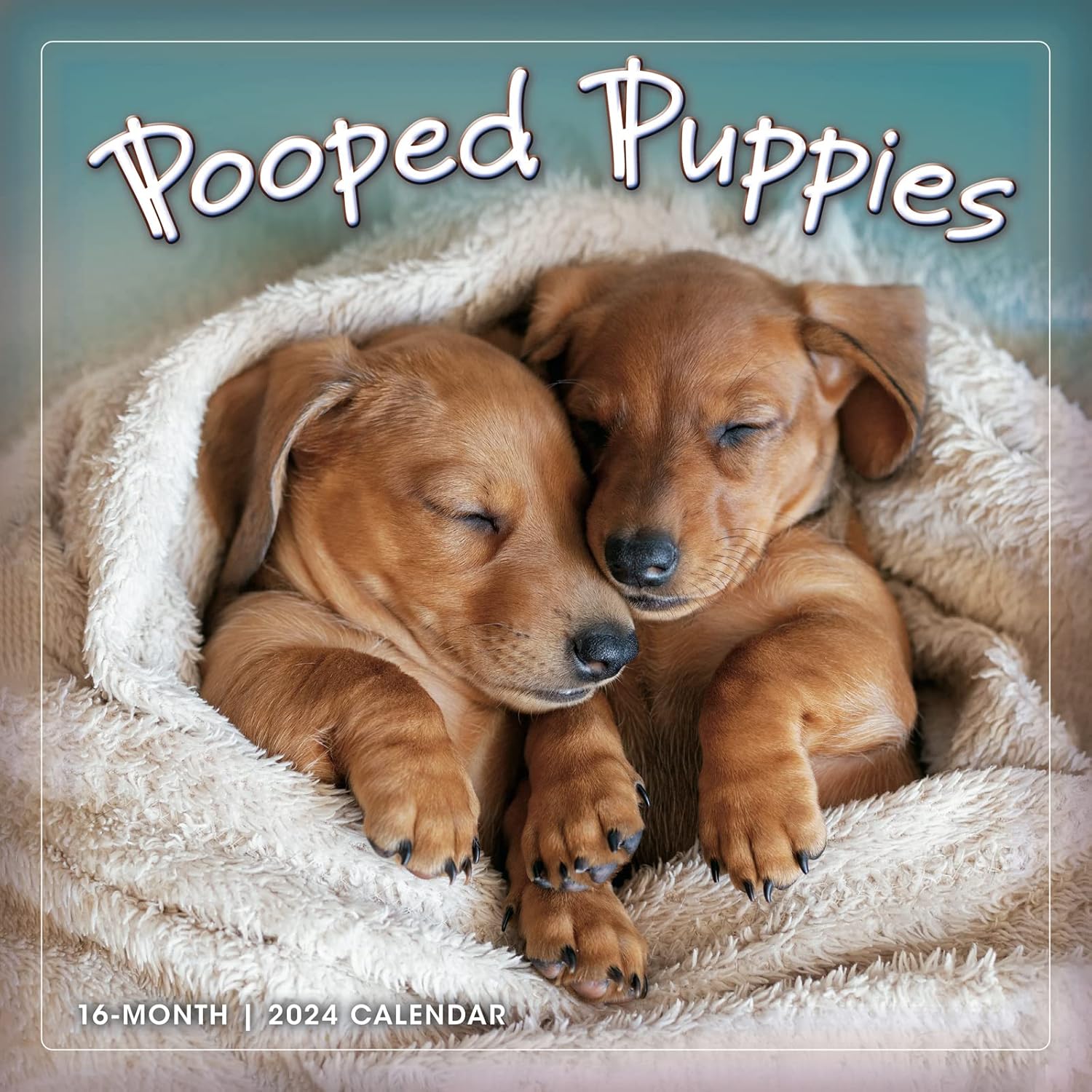 Amazon.com: Pooped Puppies 2024 Wall Calendar, 16-Month Dog Calendar ...