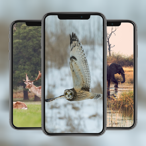 Wild Life Wallpaper HD - App on Amazon Appstore