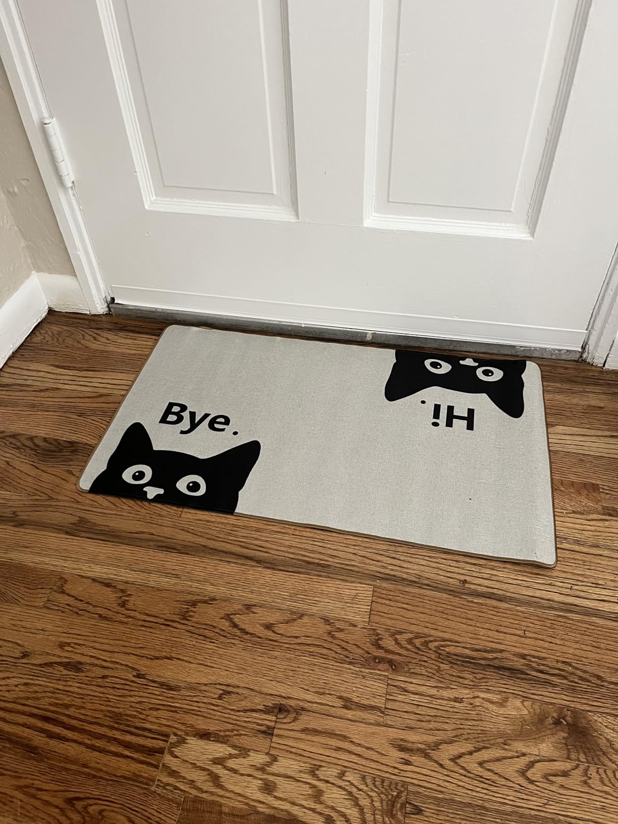 Amazon.com: Mingnei Hi Bye Cat Welcome Doormat Door Mat for Home ...