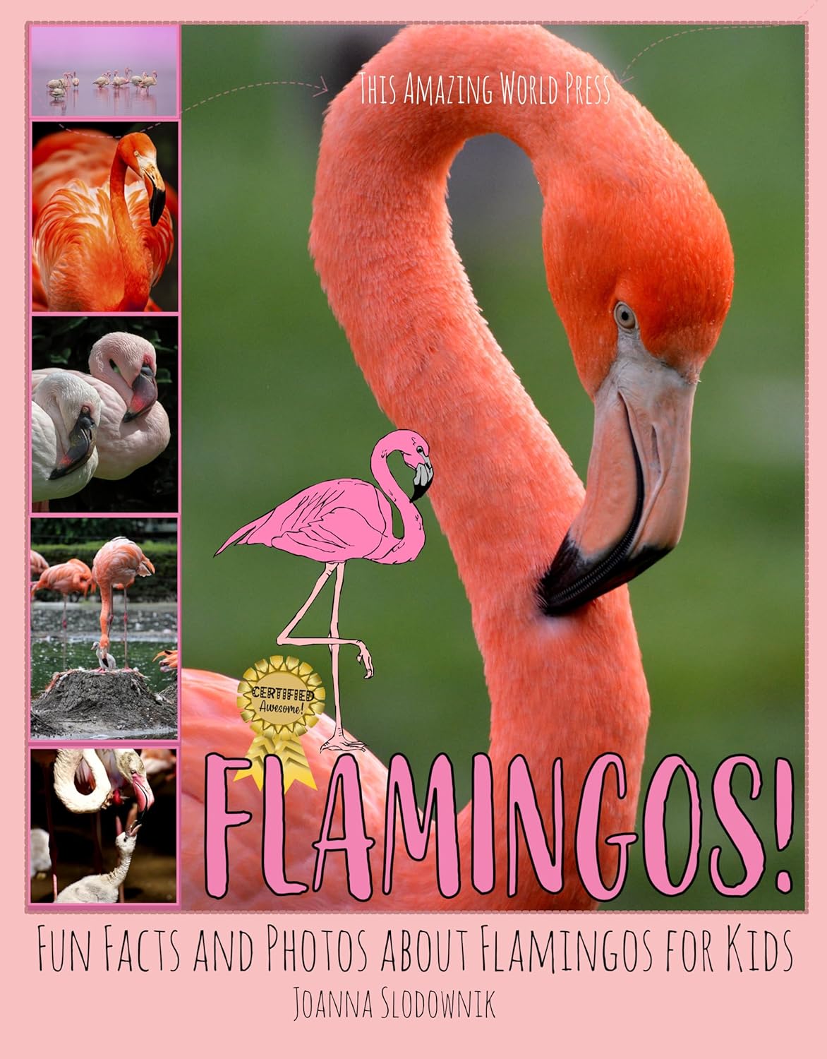 Flamingos! Fun Facts and Photos about Flamingos for Kids (Bird Books ...