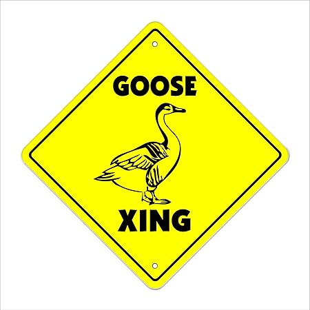 Amazon.com: GOOSE Street Sign bird animal canadian geese hunt | Indoor ...