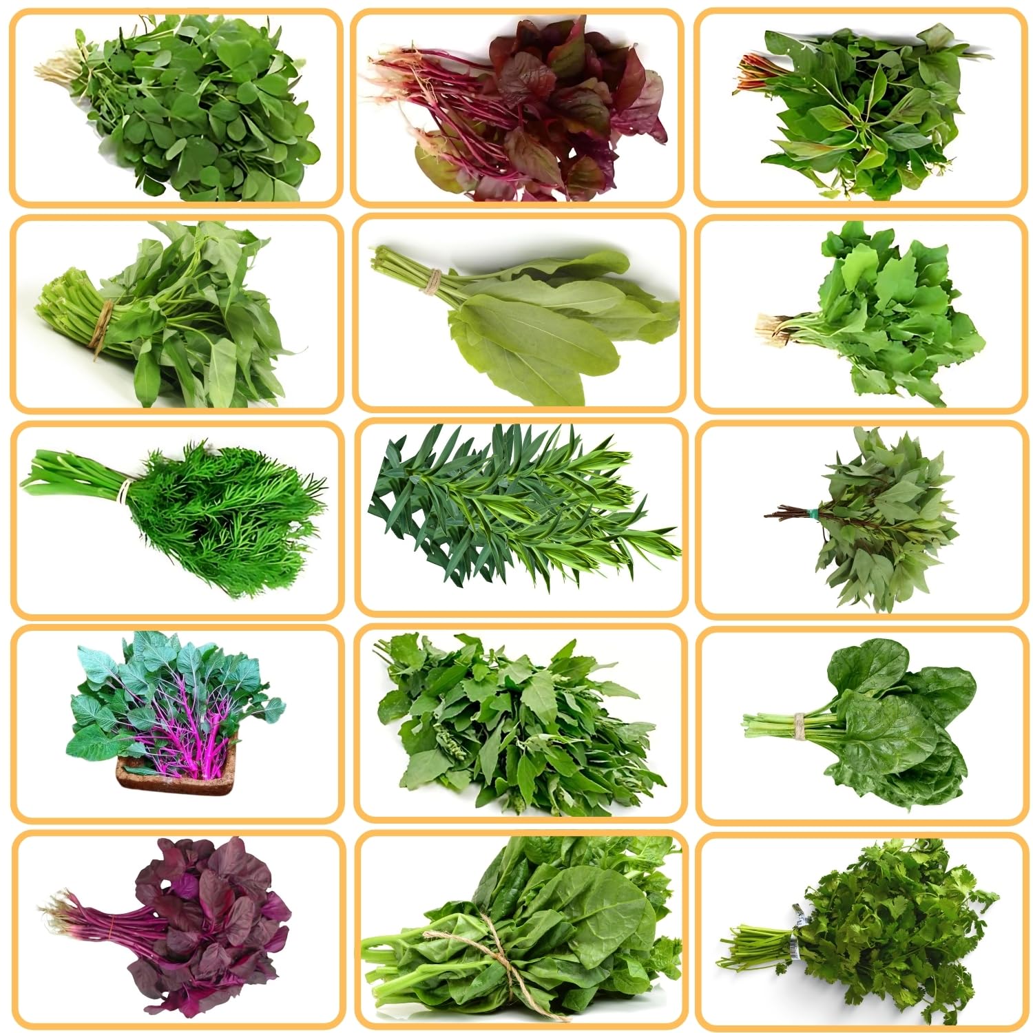 Indian Green Leafy Vegetables Top 11 Amaranth Greens Nutrition Facts