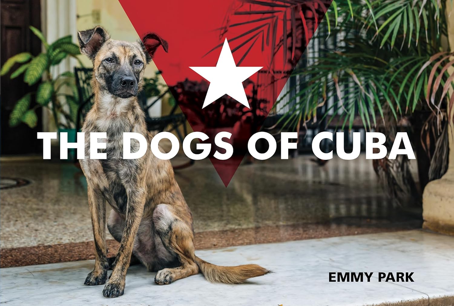 The Dogs of Cuba: Park, Emmy: 9780764358036: Amazon.com: Books