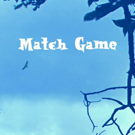 Match Game - App on Amazon Appstore