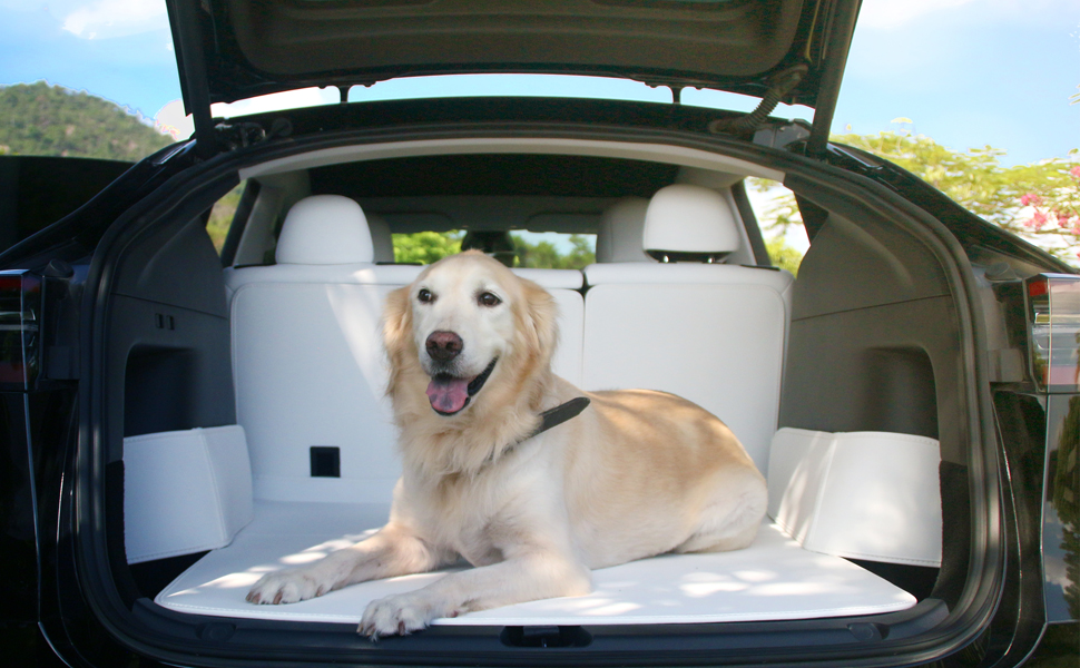 Watch The Most Distinctive Tesla Model Y Cargo Liner on Amazon Live