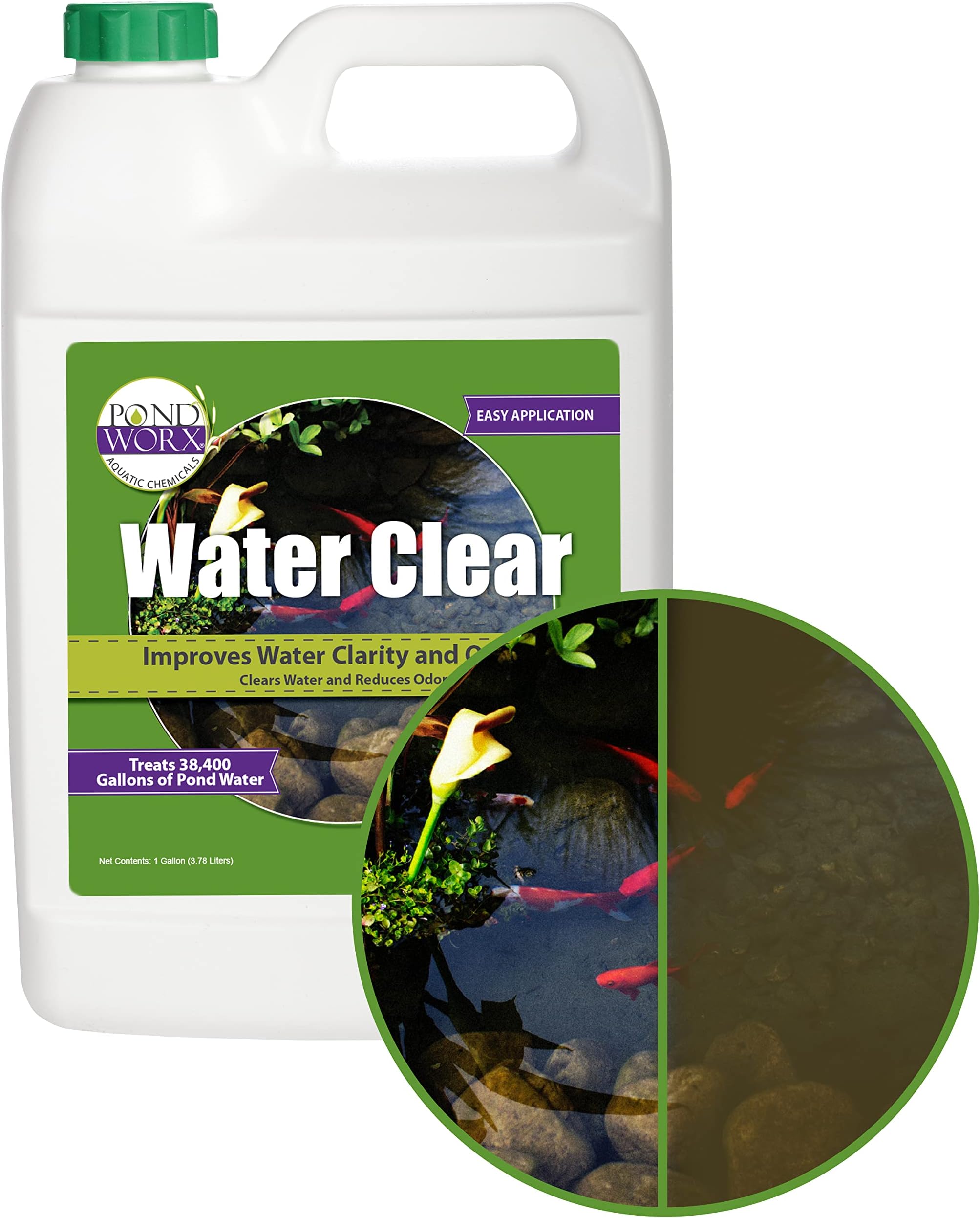 Amazon.com : MICROBIAL SCIENCE LABORATORIES, LLC Pond Clarifier Single ...