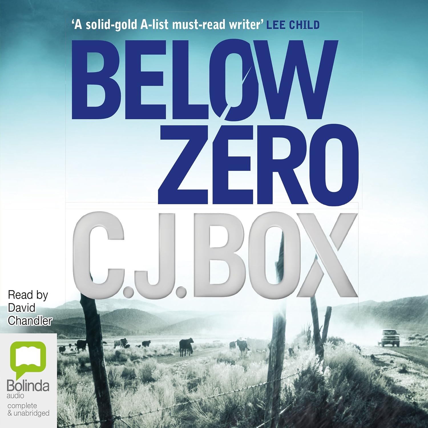 Amazon.com: Below Zero (Audible Audio Edition): David Chandler, C. J ...
