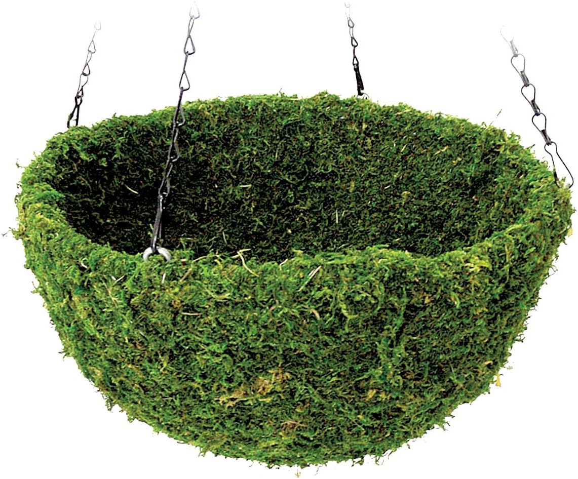 Amazon.com: Super Moss 29300 Preserved Moss Round Hanging Basket ...