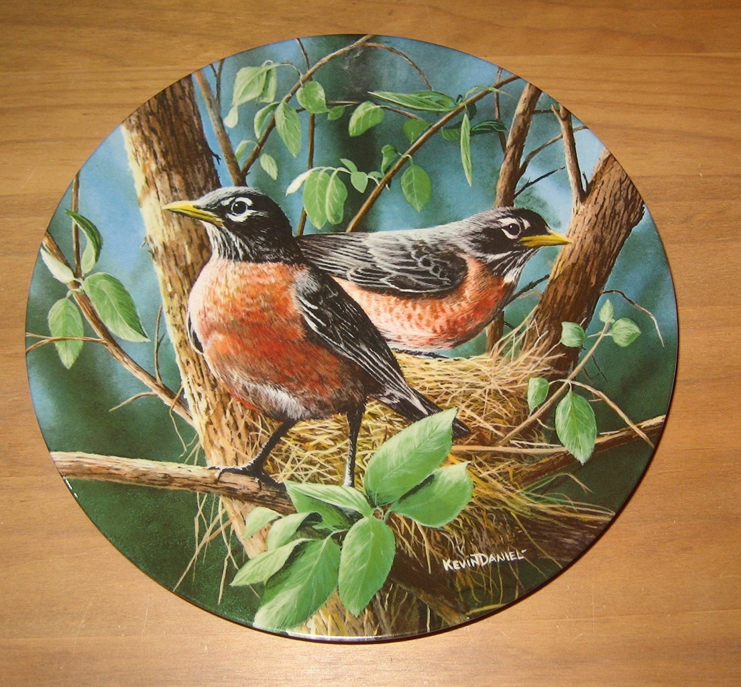 Amazon.com: Knowles The Robin Plate by Artist Kevin Daniel for Edwin M ...