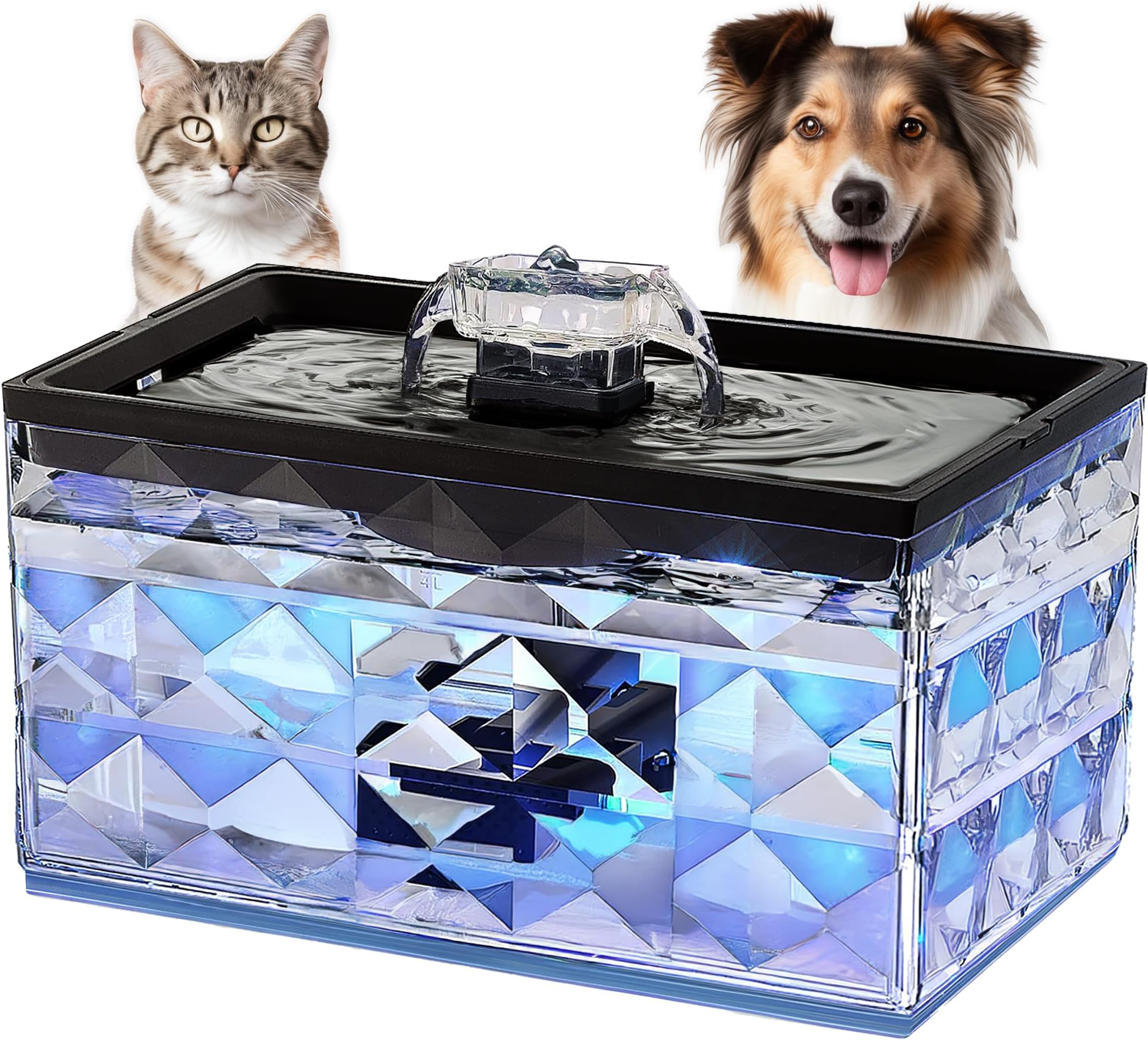 Amazon.com : QUALITY ENVY Dog and Cat Water Fountain Dispenser | 1 ...