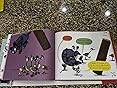 Hey, Bruce!: An Interactive Book (Mother Bruce Series): Higgins, Ryan T ...