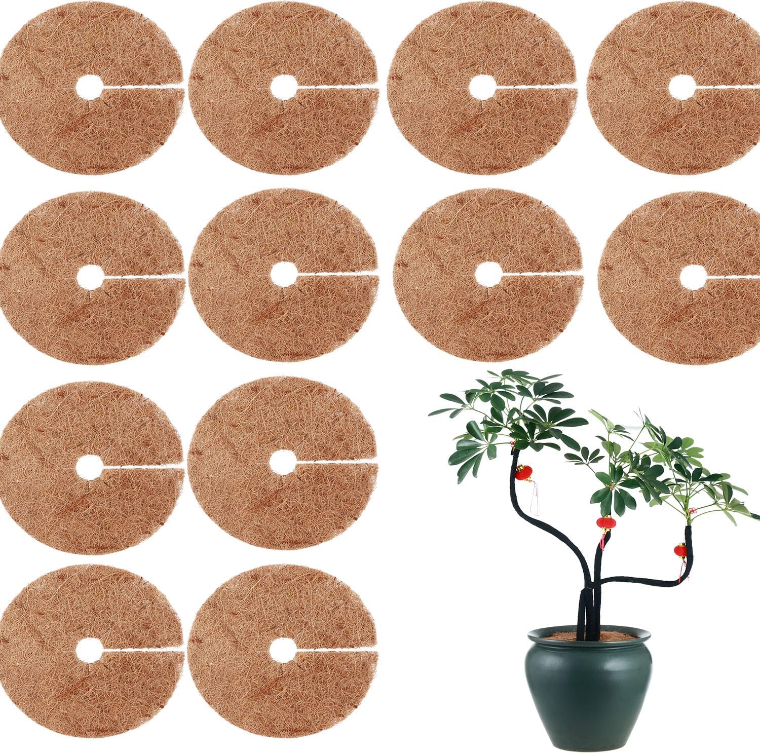 Amazon.com : 12 Pcs Coconut Fibers Mulch Ring Tree Protector Mat,14.5 ...