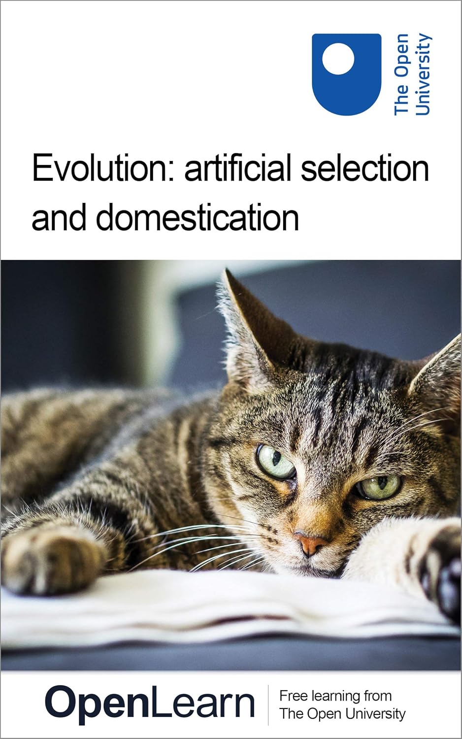 Amazon.com: Evolution: artificial selection and domestication eBook ...