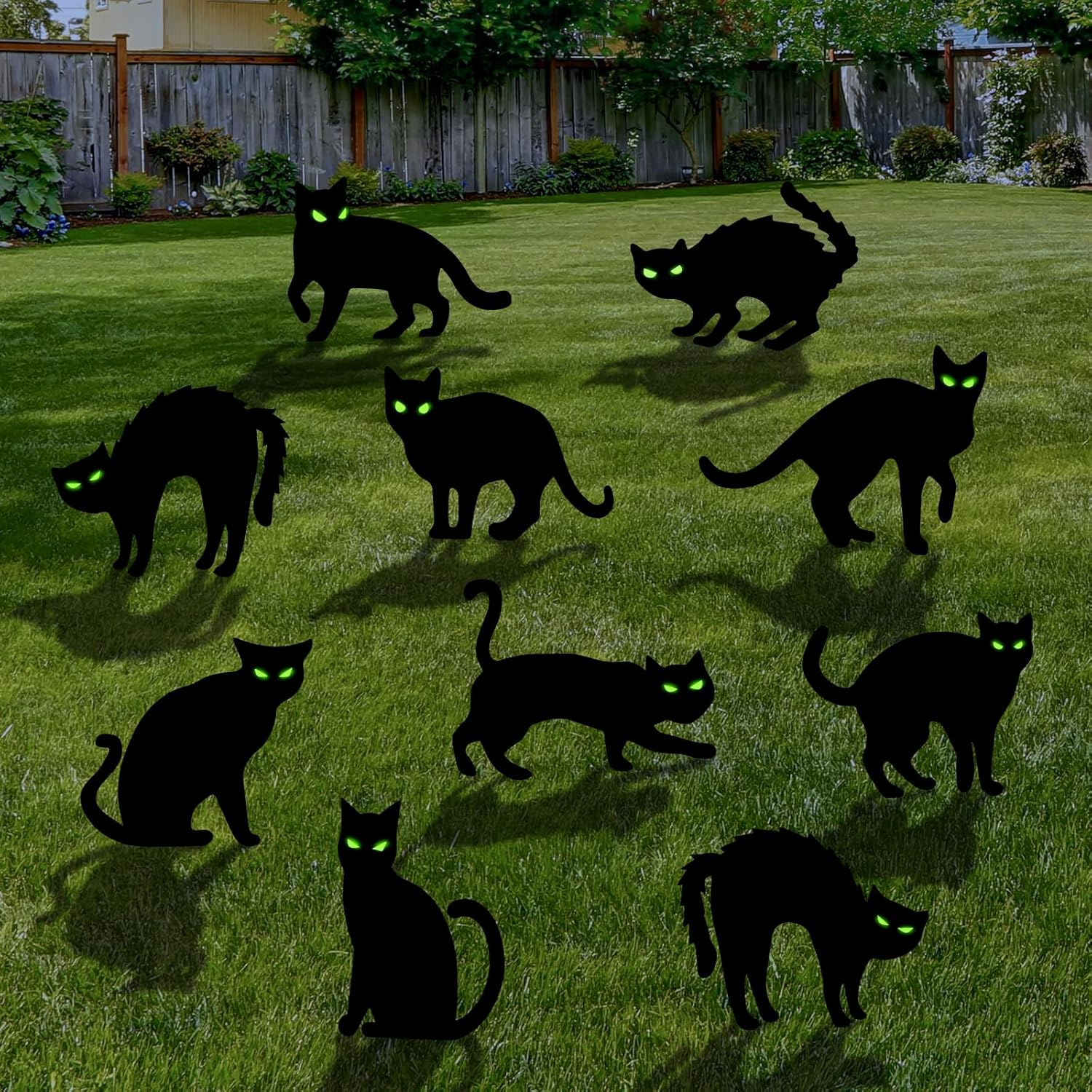 Amazon.com : 10 Pack Halloween Black Cat Yard Sign for Outdoor ...