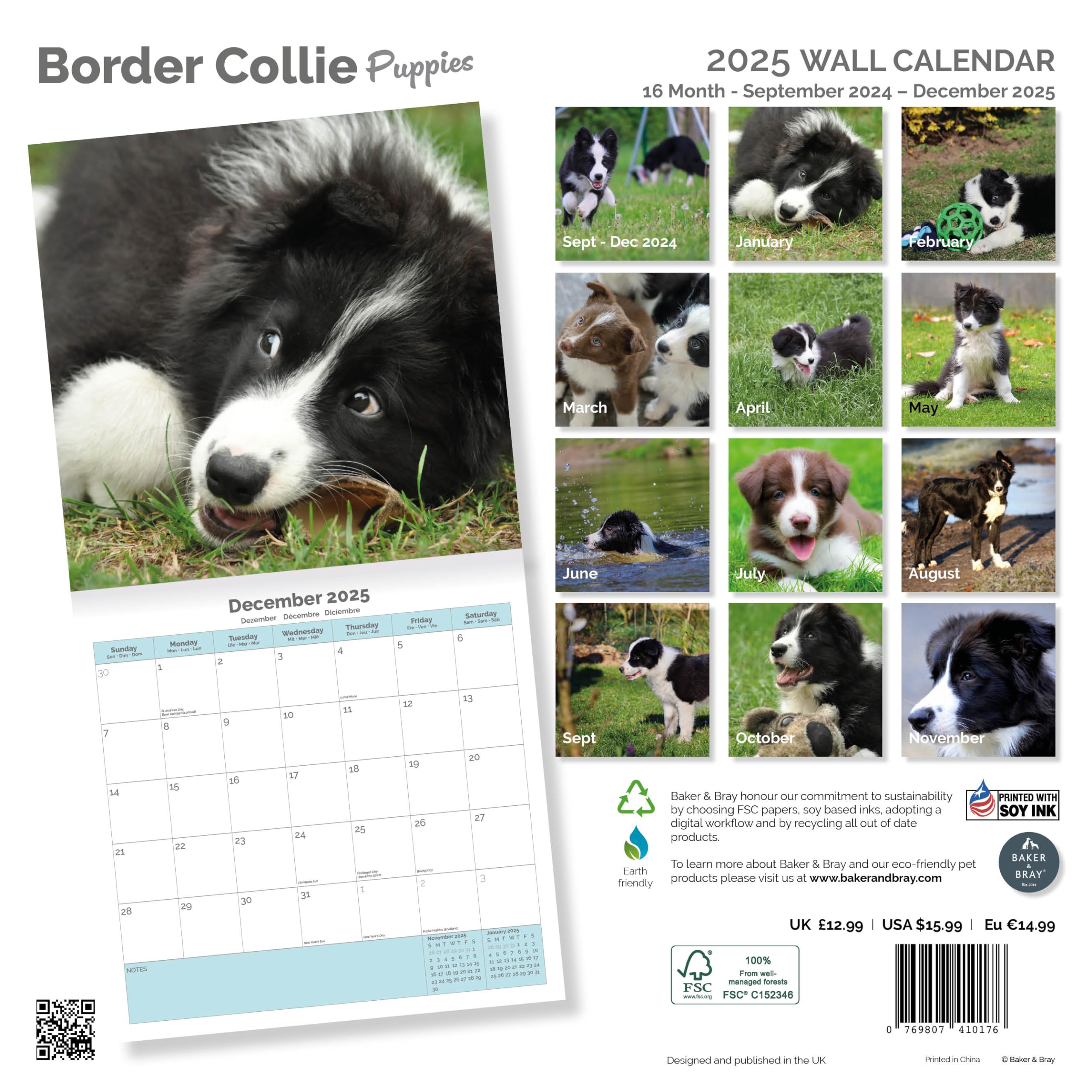 Baker and Bray Border Collie Puppies Calendar 2025, Large Square Wall ...