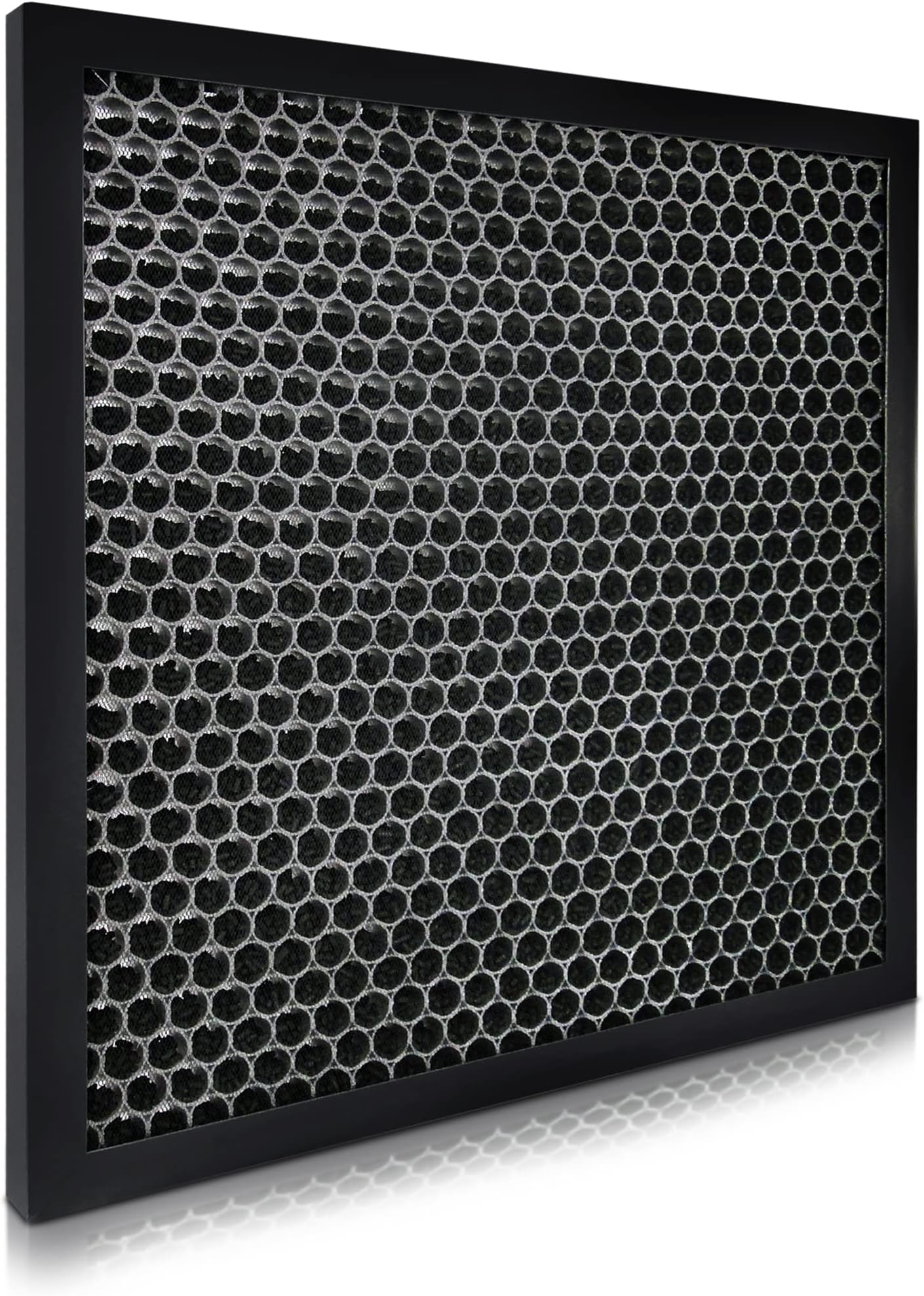 Amazon.com: Activated Carbon Filter Compatible with Xpower Pro Clean X ...