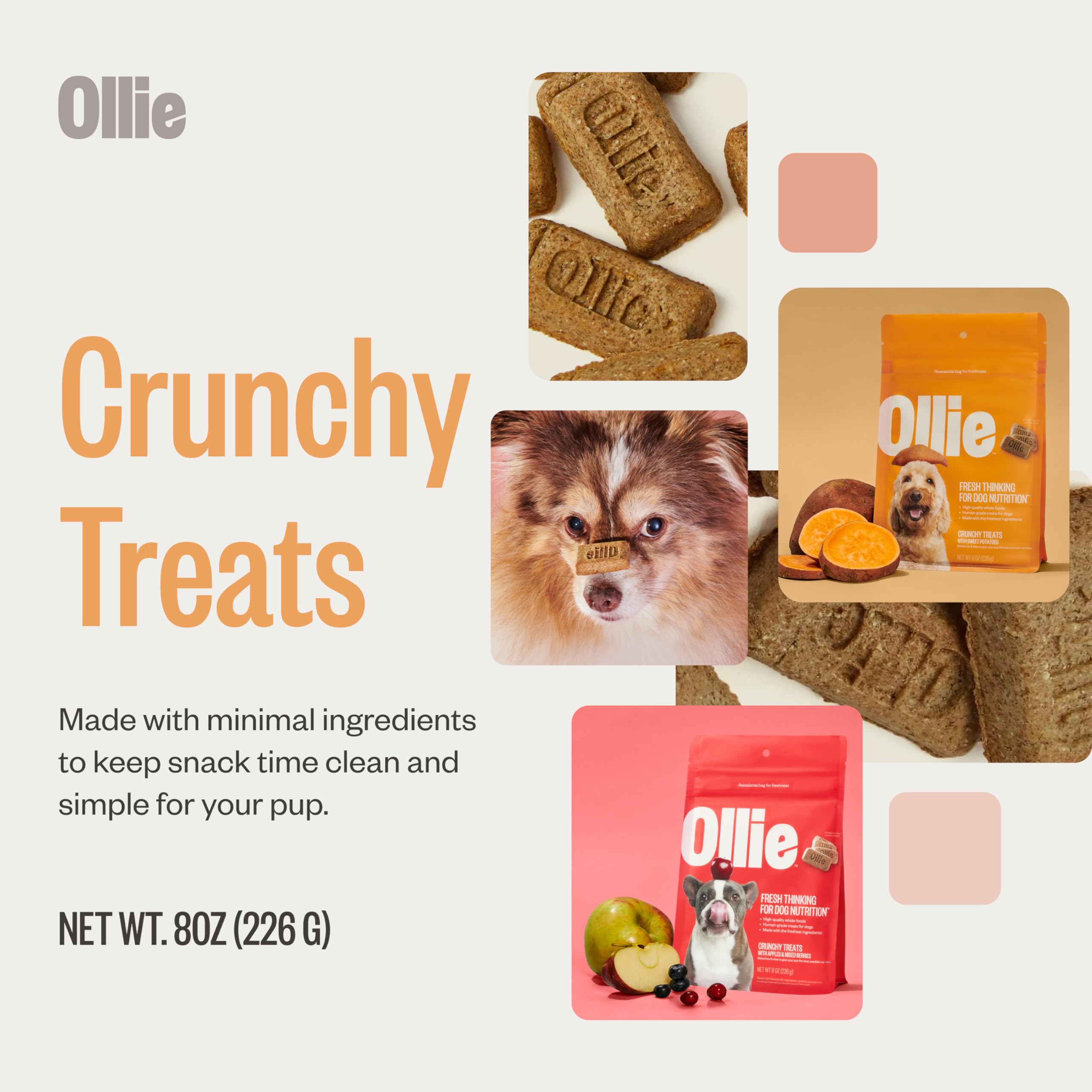 Ollie Fresh Dog Food Review 2024: Pros, Cons & Final Verdict – Dogster