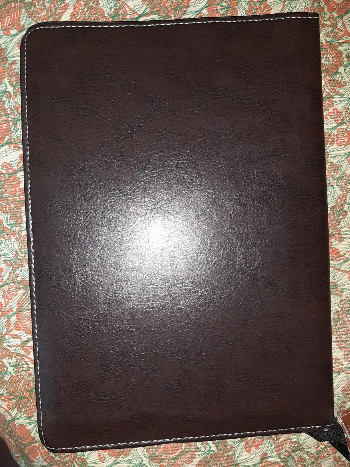 GreatDio® Files and Folders Executive Files and Folders -Pack of 1 ...