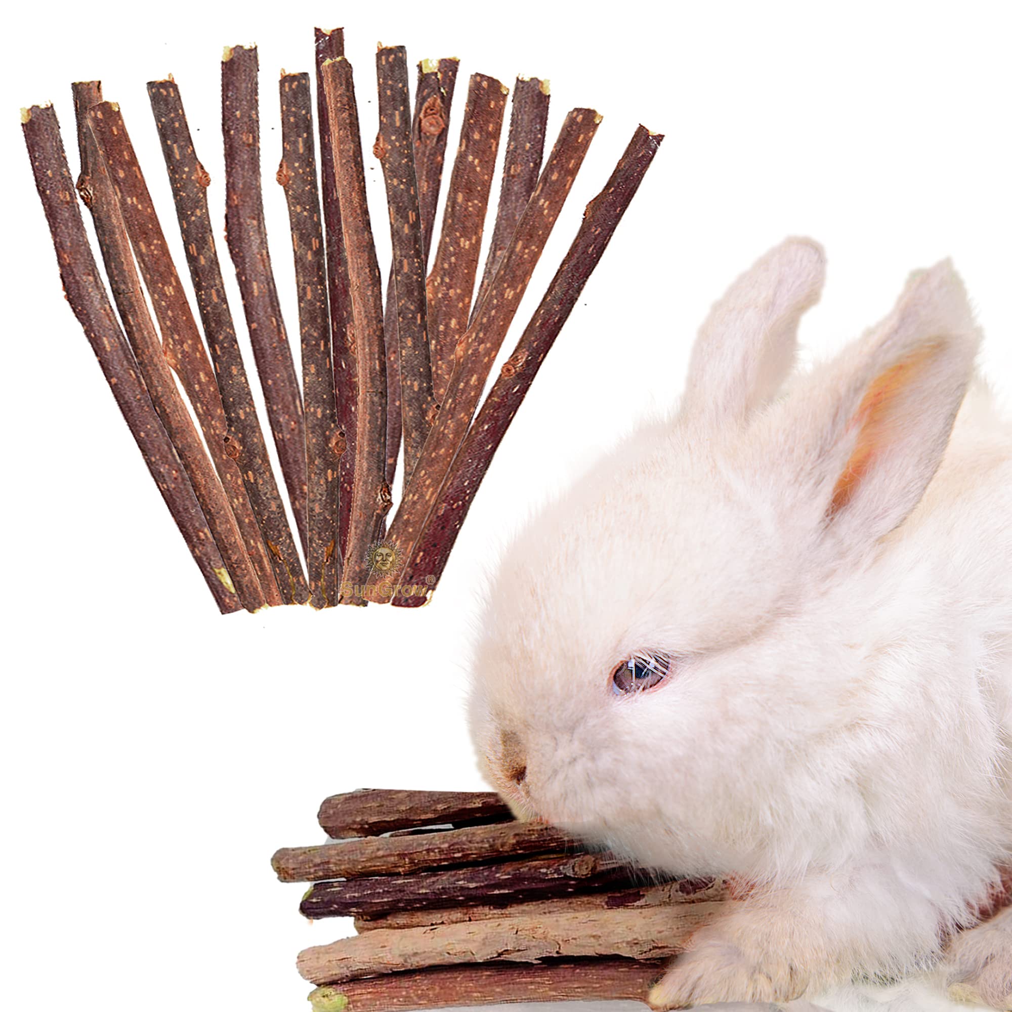 Buy SunGrow Cat & Rabbit Silvervine Chew Sticks, 4.7”, Matatabi Edible ...