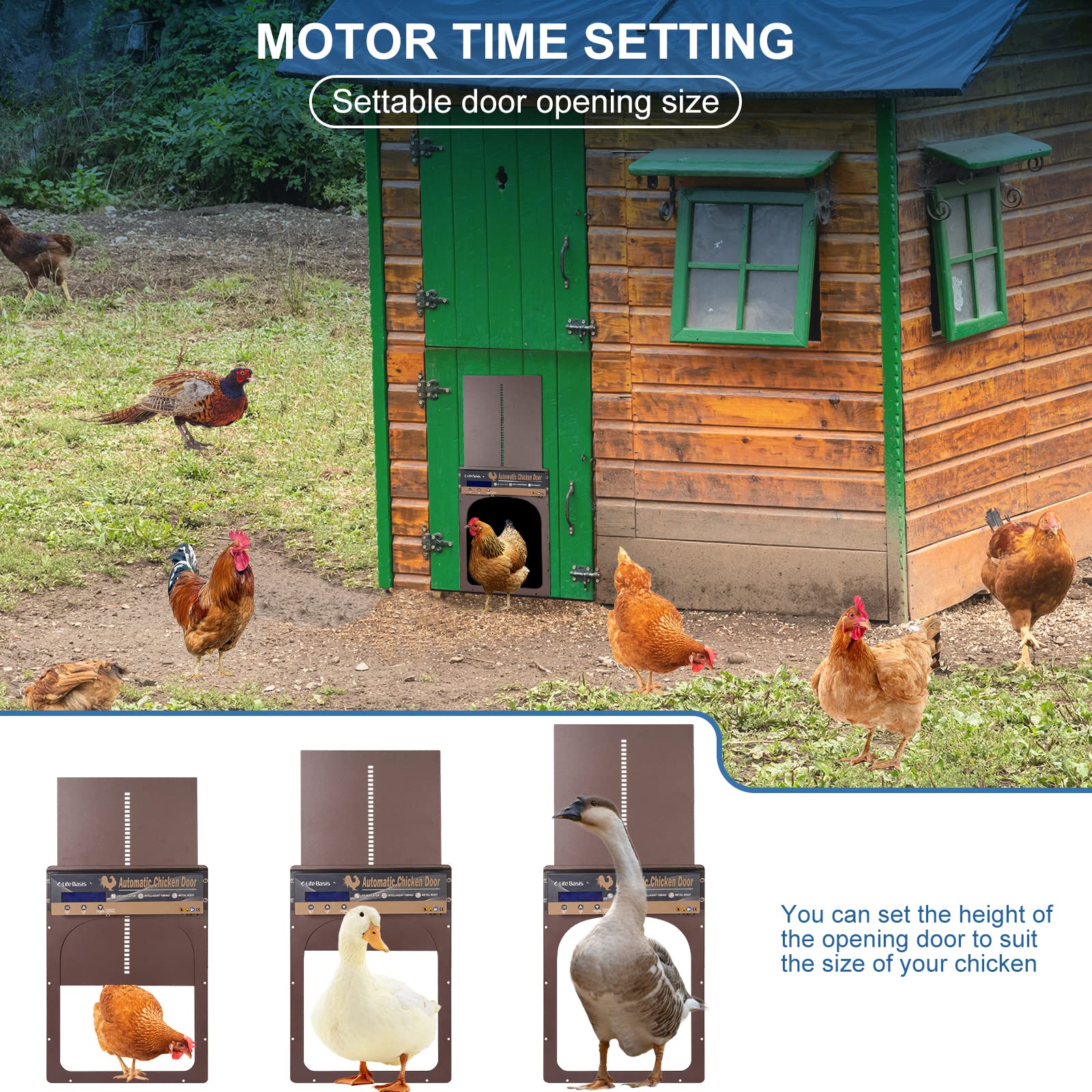 Snapklik.com : LifeBasis Automatic Chicken Coop Door, Solar Powered ...
