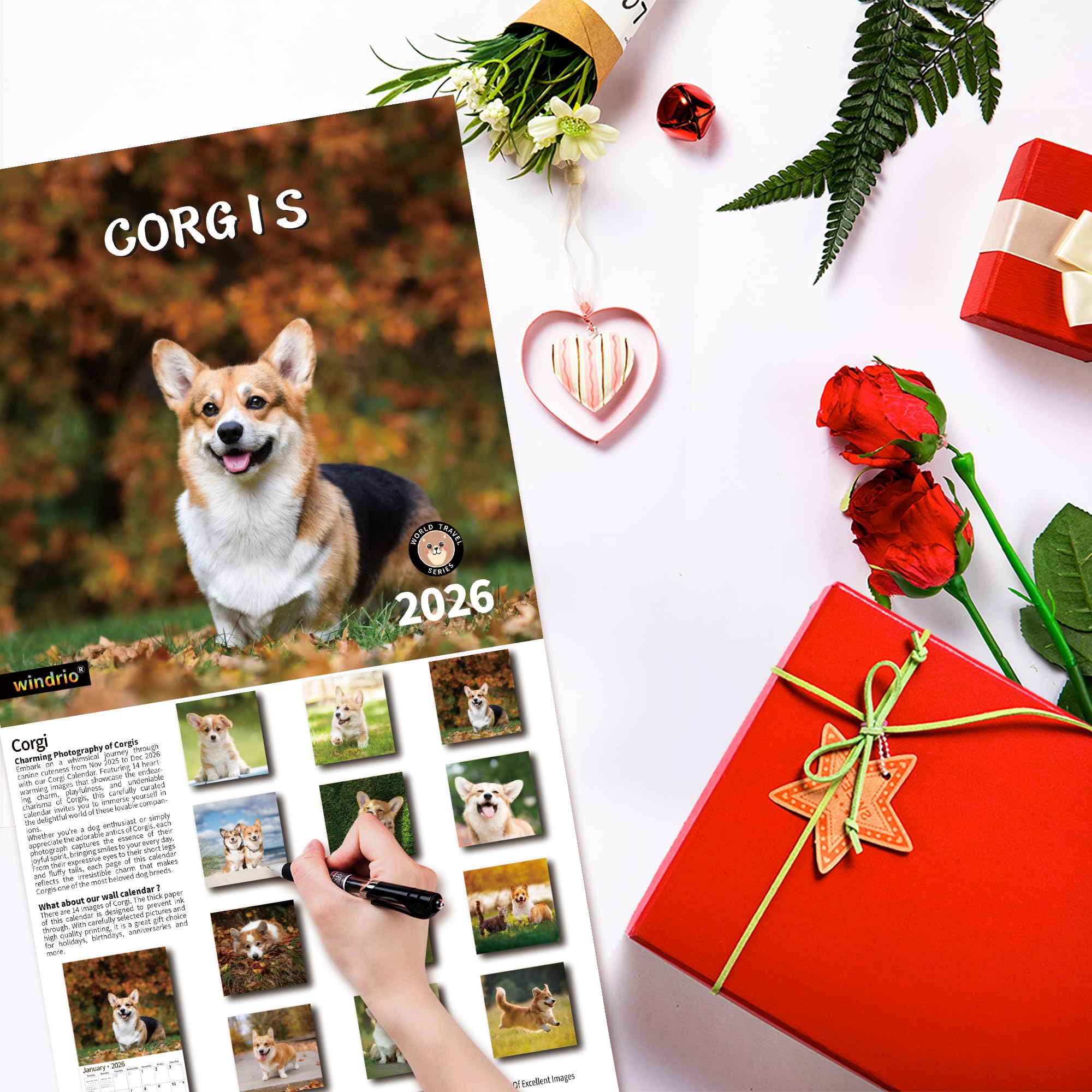 Snapklik.com : 2026 Wall Calendar, November 2025 - December 2026, Wall ...